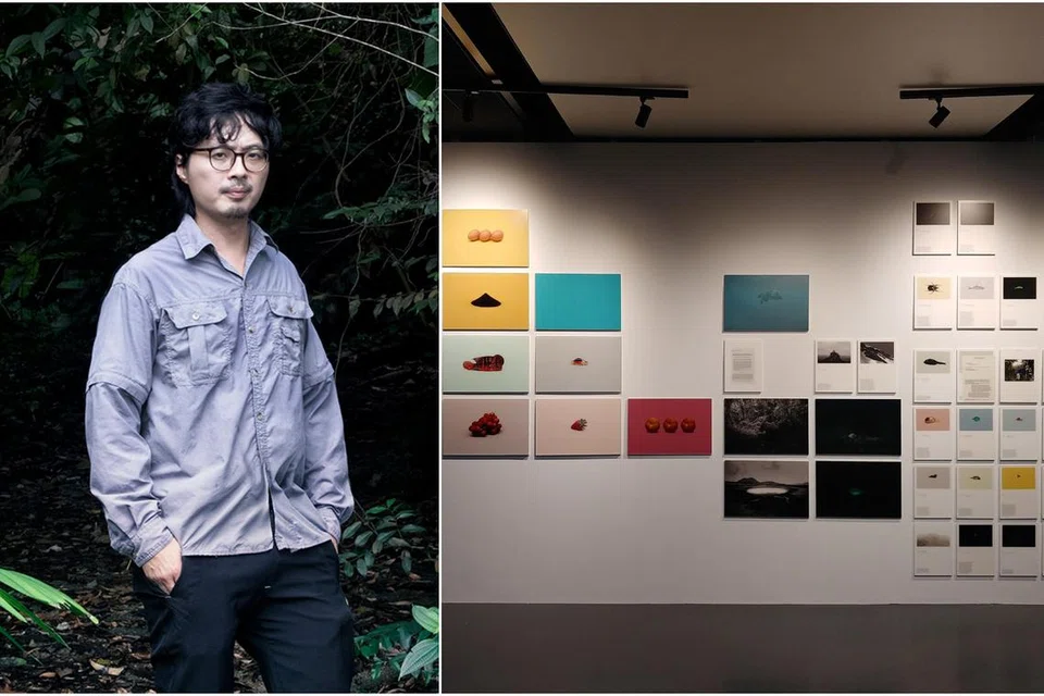 Singaporean artist Robert Zhao’s flora and fauna photographs acquired ...