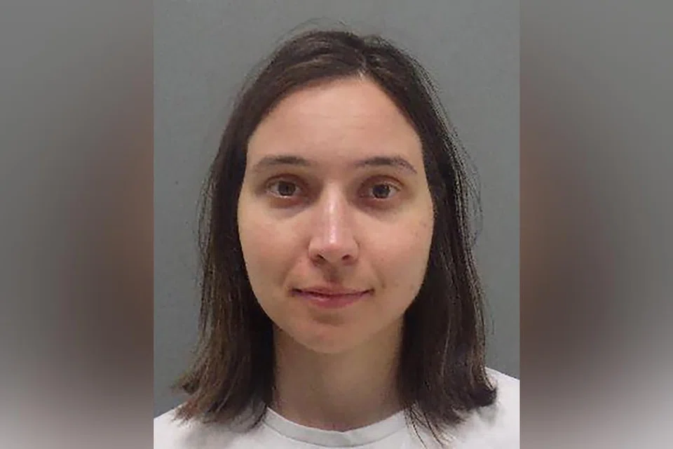 Detained Russian-born Harvard scientist criminally charged with smuggling | The Straits Times