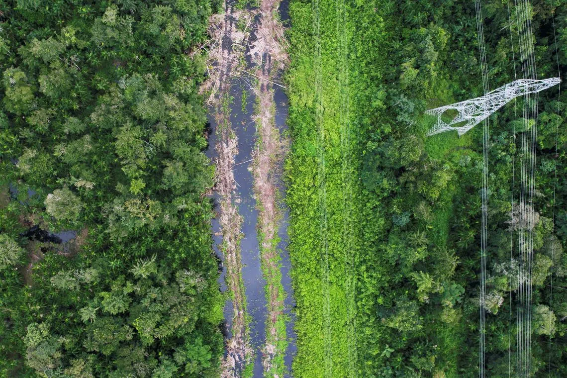 Brazil state hosting COP30 denies new road linked to climate summit ...