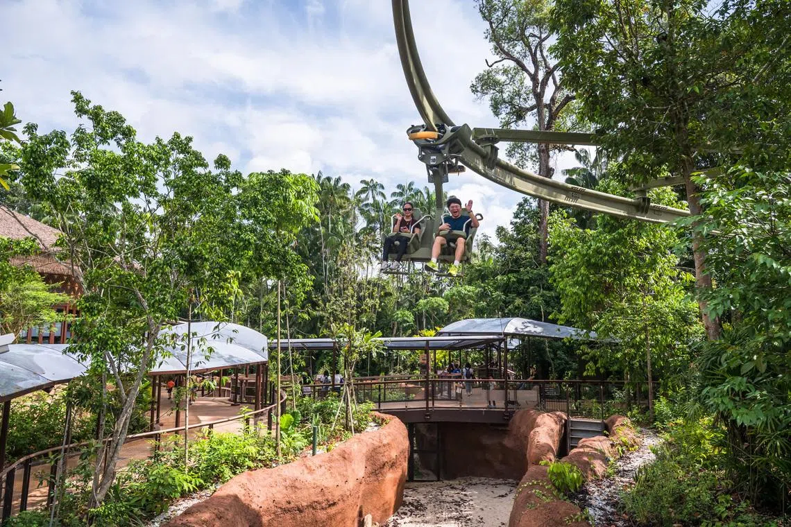 Rainforest Wild Adventure at Mandai fully open | The Straits Times