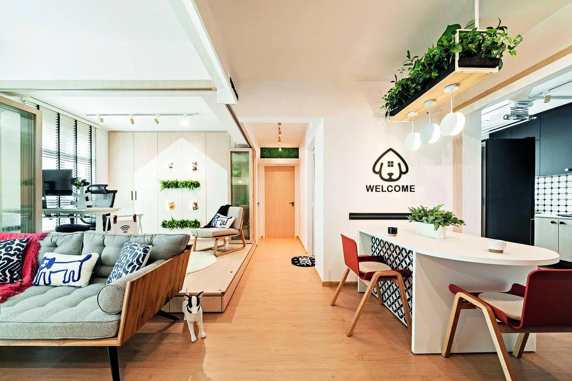 The Chic Home: Siblings’ BTO flat inspired by dog cafe | The Straits Times