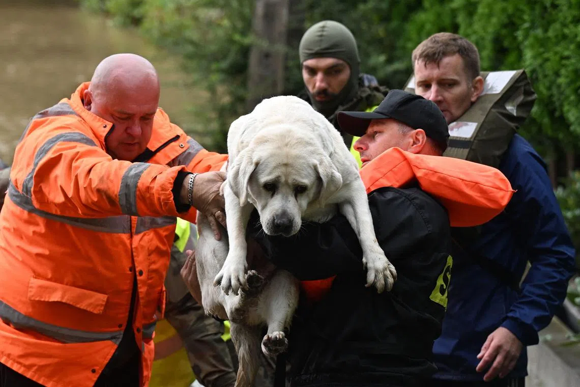 Central European flooding widens as death toll rises | The Straits Times