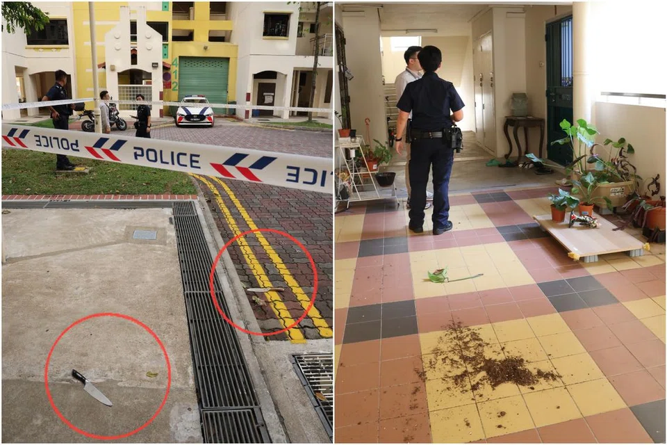 Mother, son arrested for allegedly using abusive language and ...