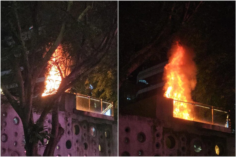 Christmas tree at top of Design Orchard mall catches fire | The Straits ...