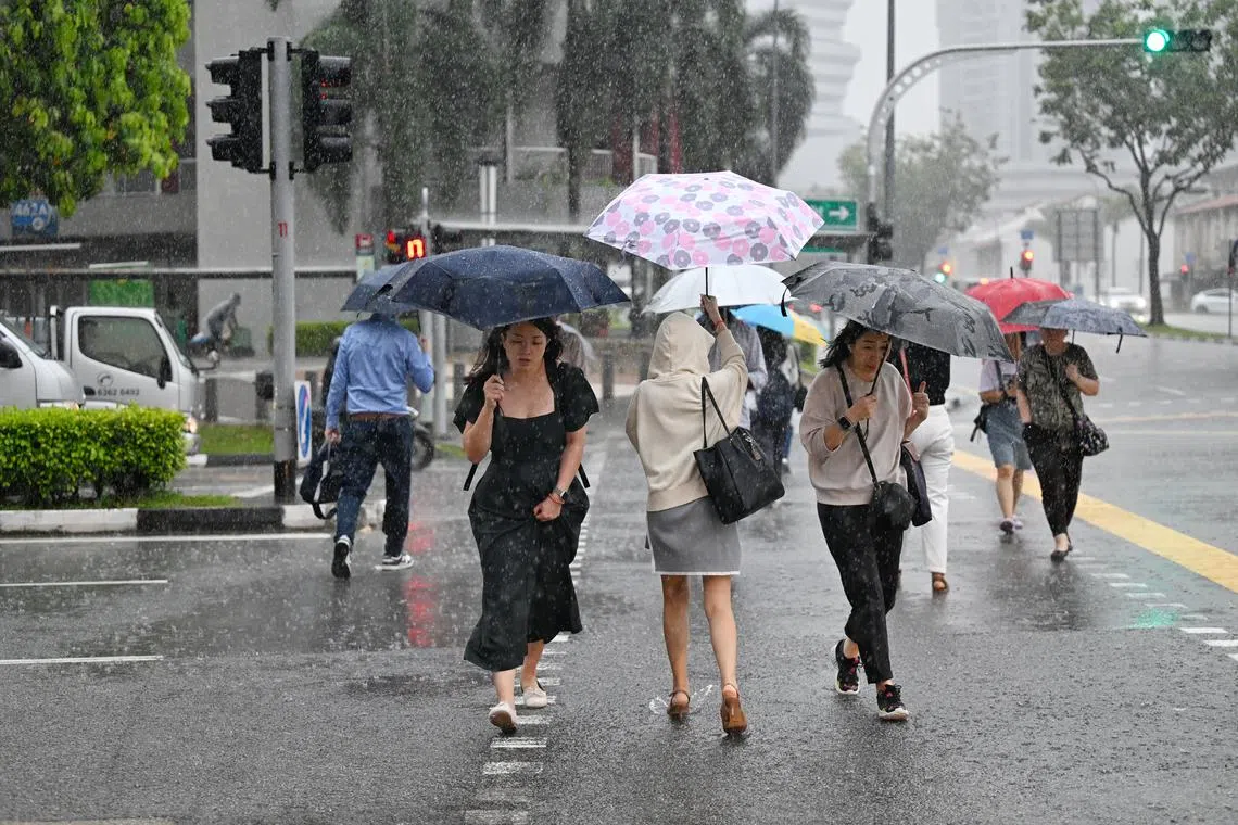 Monsoon surge: Heavy rain across Singapore to continue in the afternoon | The Straits Times