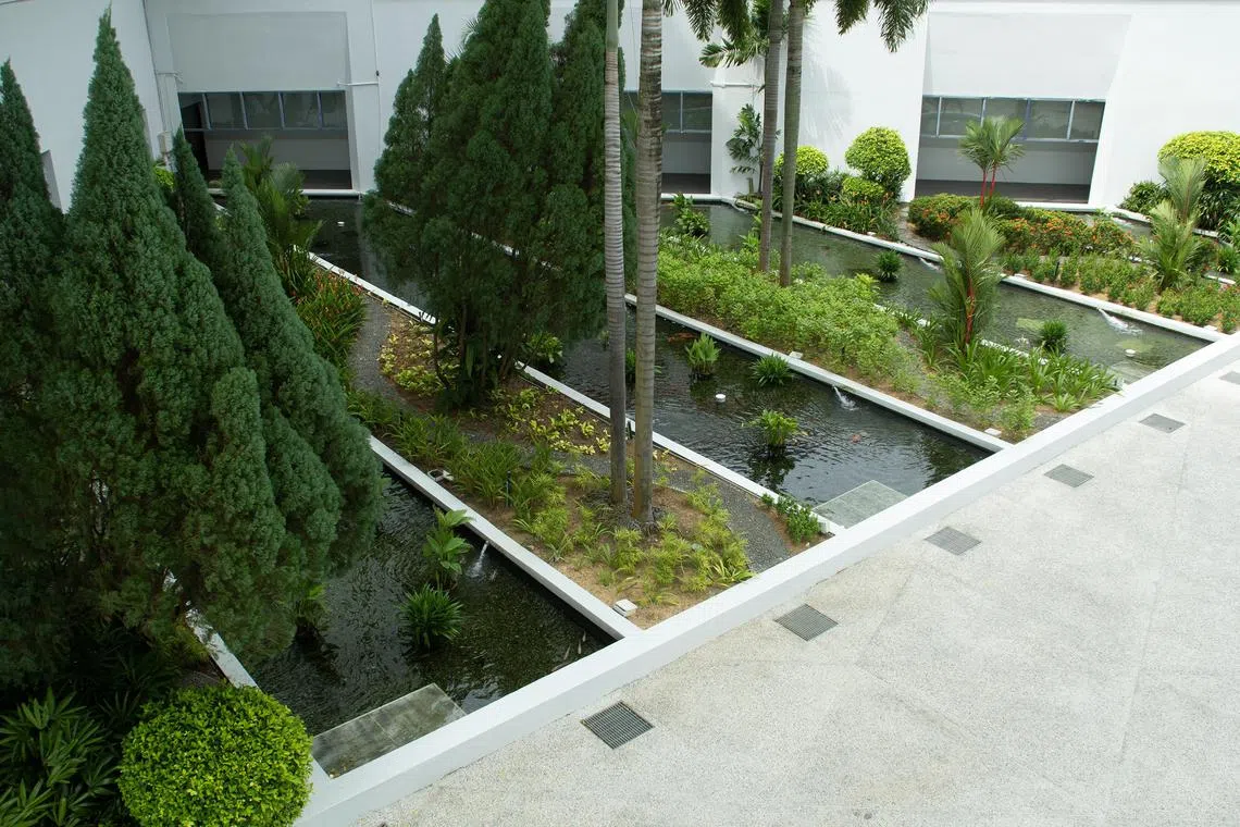 Temasek Poly sets 2050 net-zero target for sustainability road map ...