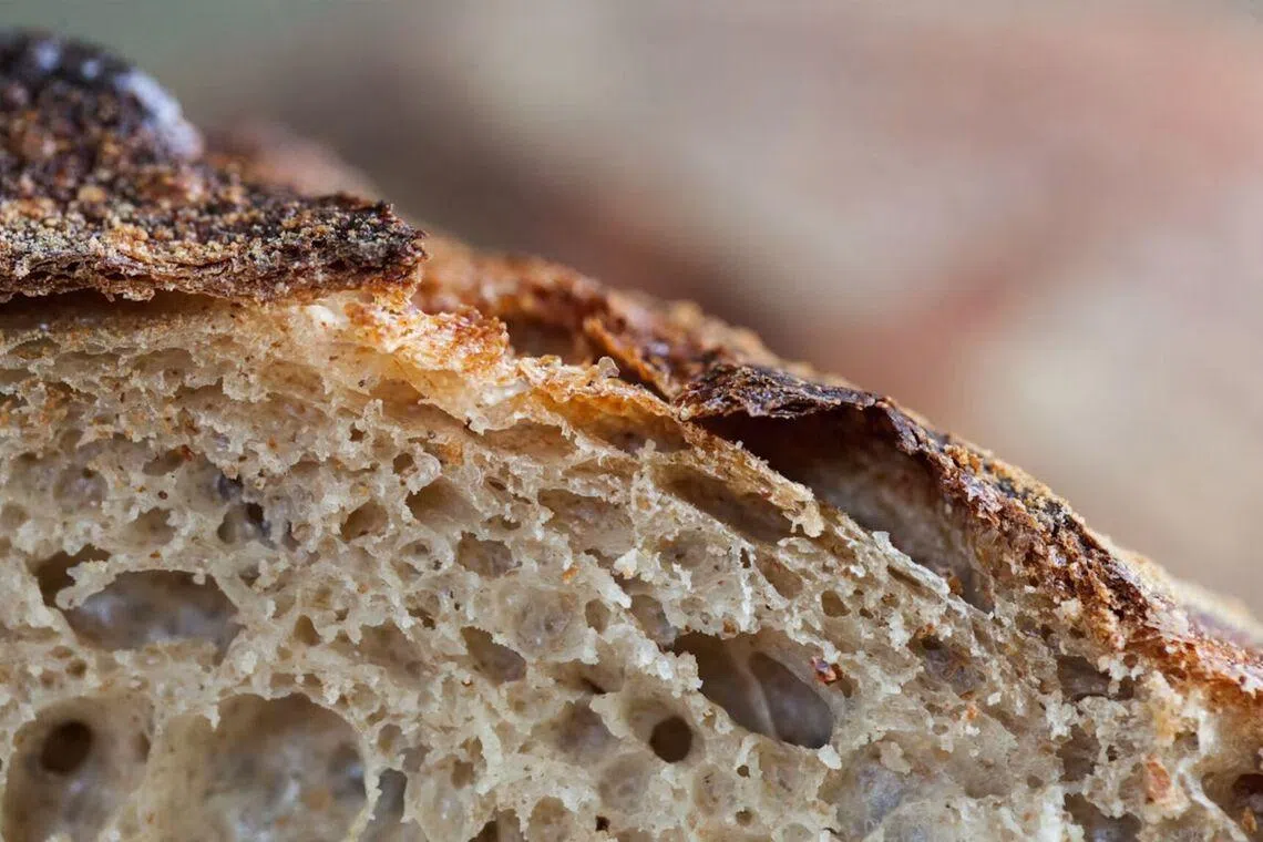 Scientists find yeast in ancient Iceman’s guts – and make sourdough ...