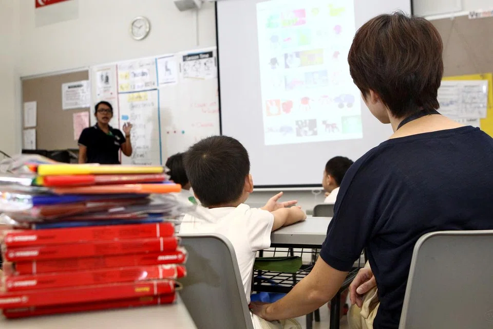 More support for children with developmental needs and persons with ...