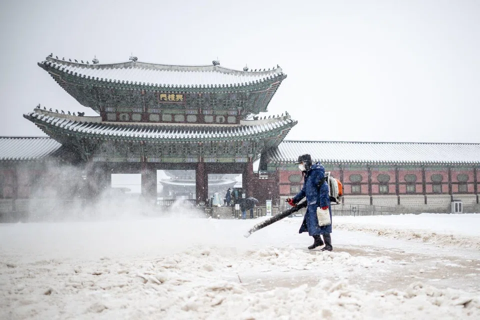 South Korea to see early spring, extended summer due to climate shifts ...
