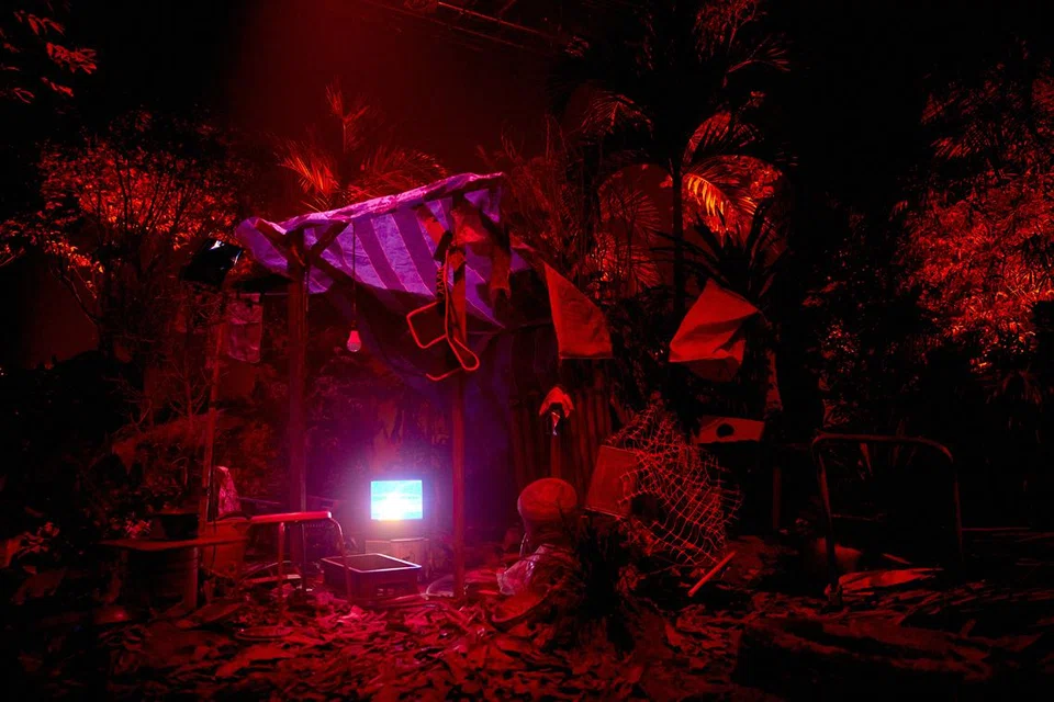 Arts review: Robert Zhao’s Albizia is a wondrous multi-species forest ...