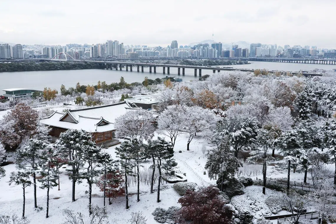 Seoul’s first snowfall could hit hard, warns weather agency | The Straits Times
