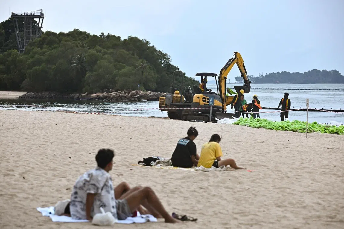 Over 71,000kg of oil-soaked sand scooped up at Sentosa’s beaches ...