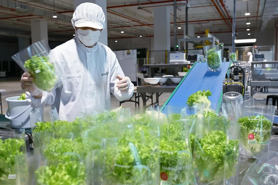 World’s tallest indoor vertical farm, valued at $80 million, opens in ...