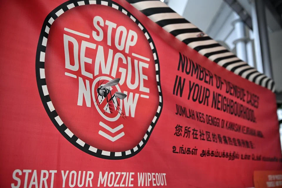 Dengue cases on the up in Singapore; patients say the illness can be ...