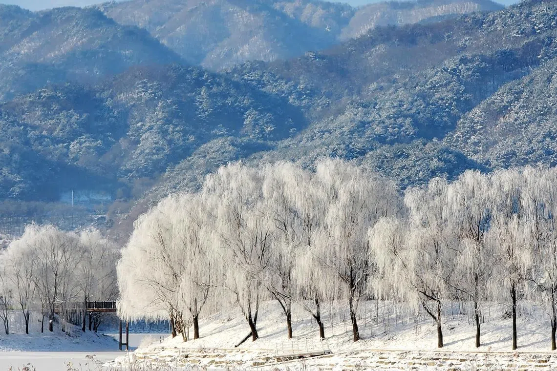 Today in Pictures, Dec 16, 2022 | The Straits Times