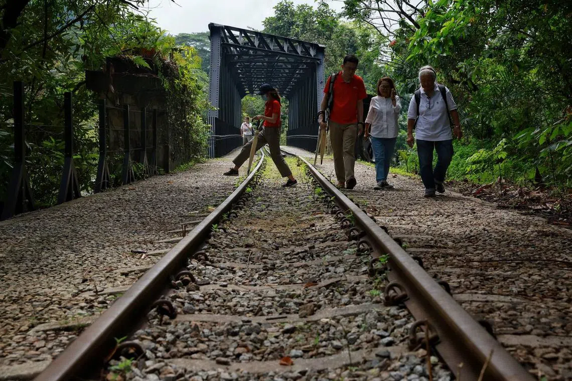 Northern stretch of Rail Corridor opens to offer 21km of green trails ...