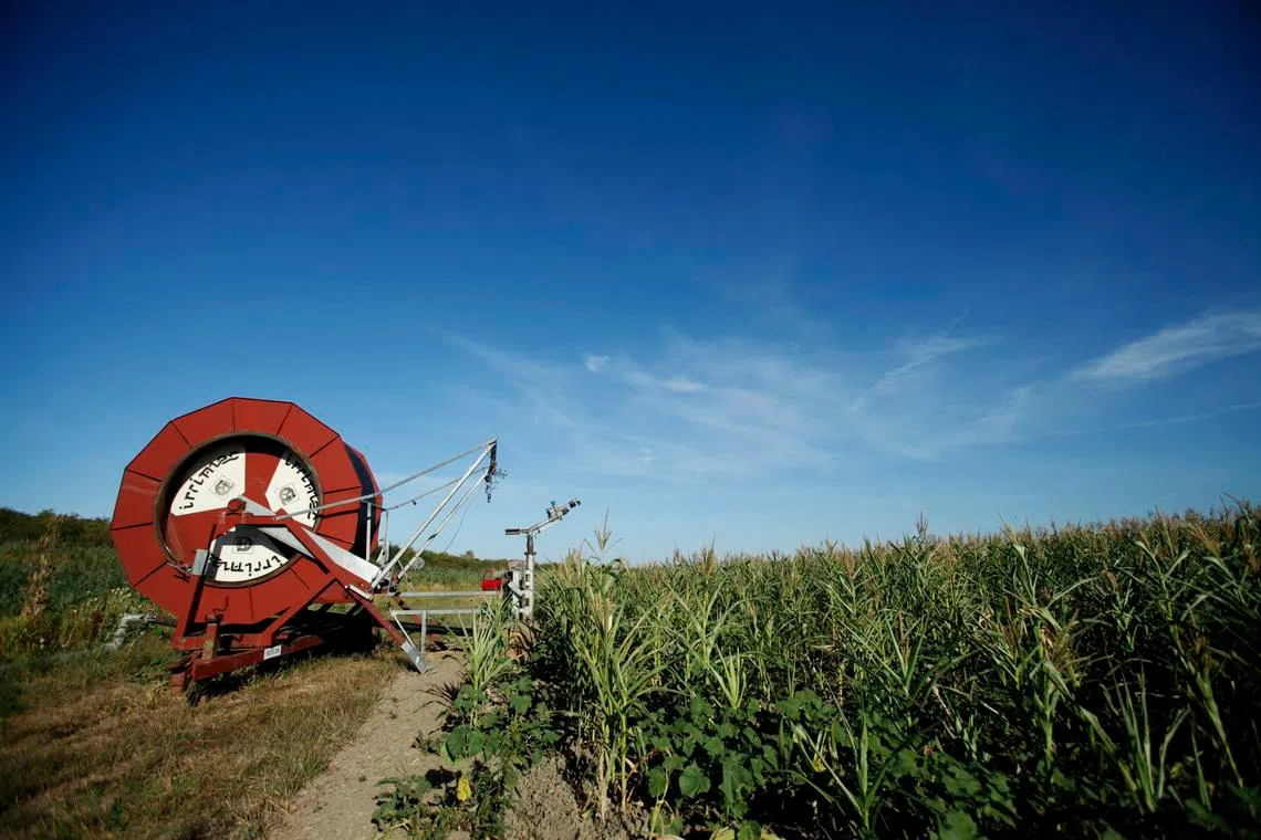 EU prosecutors arrest 21 Croatians over suspected farm aid fraud | The ...