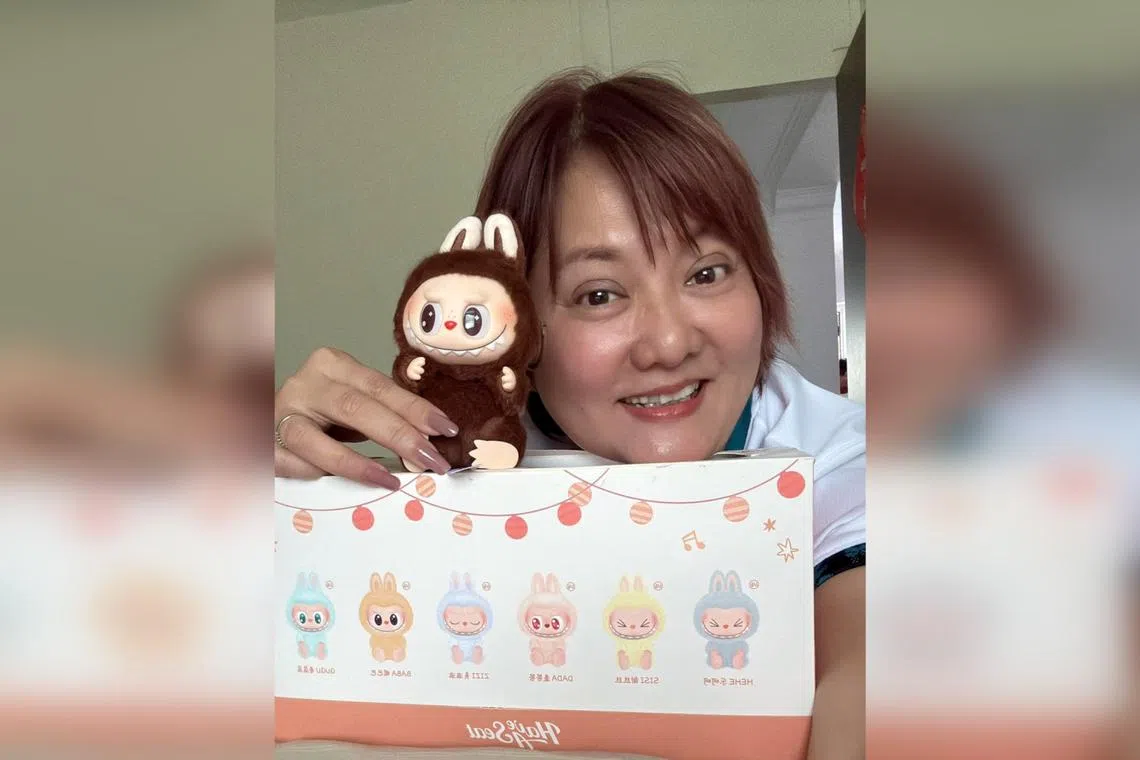 Radio DJ Ye Limei’s Labubu photos used without permission by shop | The ...