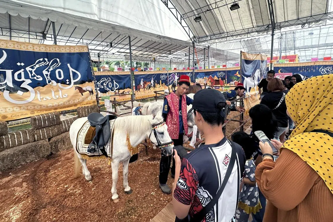 Complaints made against operator of pony rides at Geylang Serai Ramadan ...