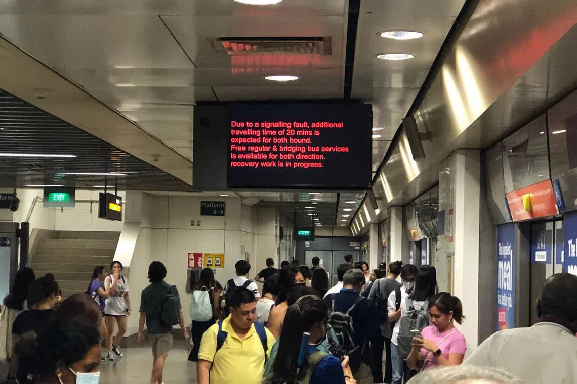 Train services resume on NEL following 2-hour disruption due to signalling fault | The Straits Times