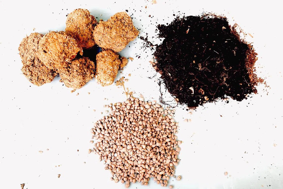 Plant Parenting: Digging deeper into growing media | The Straits Times