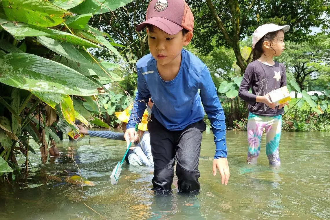 Sustainable fun: June school holiday activities to keep kids busy while ...