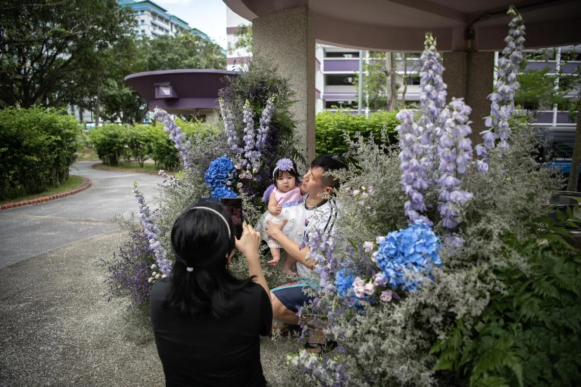 ‘Flower bomb’ draws admirers to Pasir Ris pavilion | The Straits Times