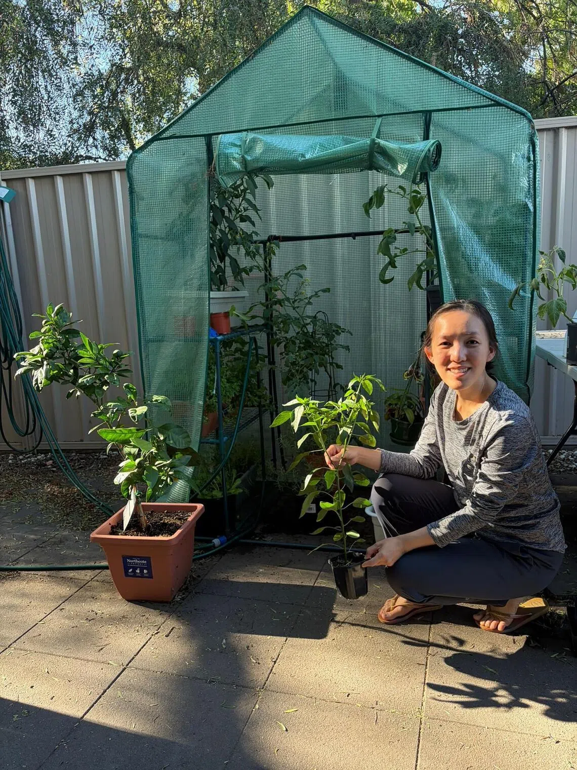 From Hariss Harun’s Lions armband to Amanda Lim’s van: Items that ...