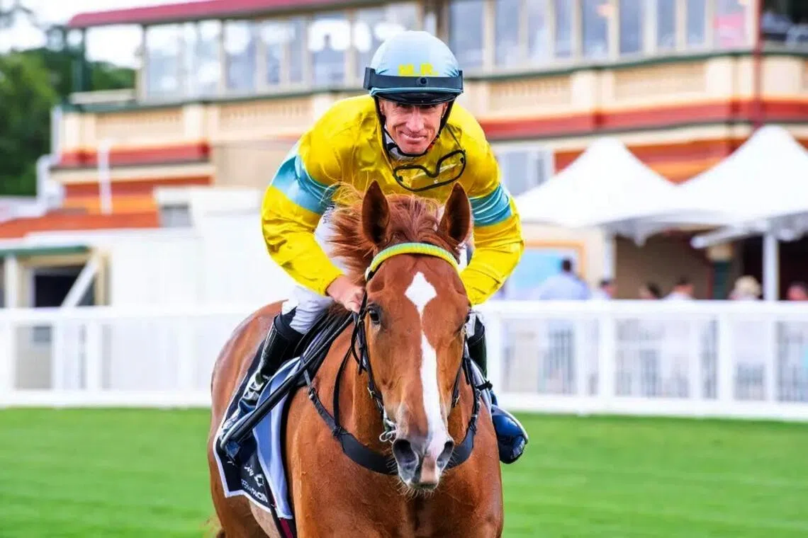 King Of Light to show Pike was right | The Straits Times