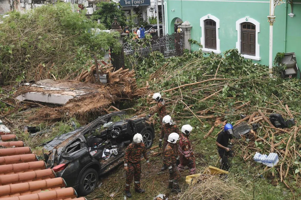 Family of 2 Chinese tourists crushed to death by falling tree in Penang ...