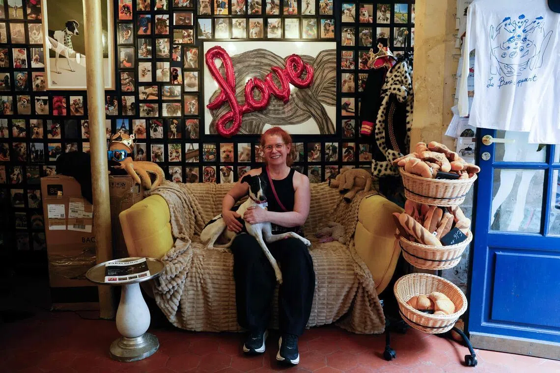 Bone appetit: Paris pups lap up treats at dog-centric spots | The ...