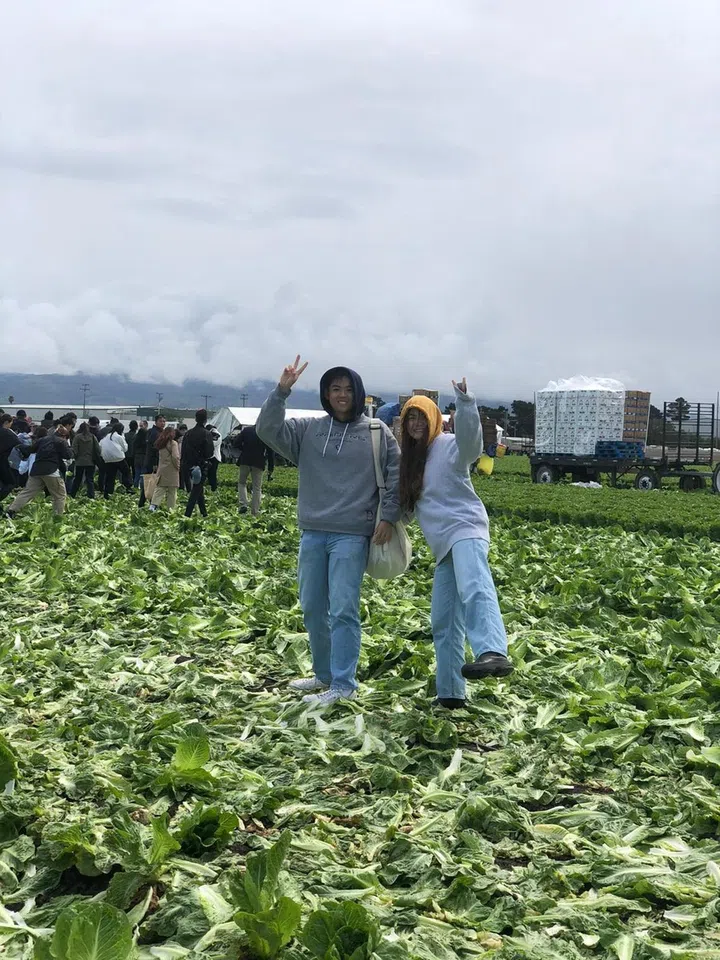 Young and raring to work abroad: Why these Gen Zers and millennials ...