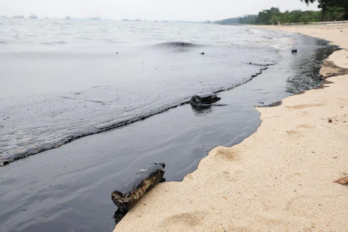 Cleanup under way after oil slicks hit East Coast, Labrador Park ...
