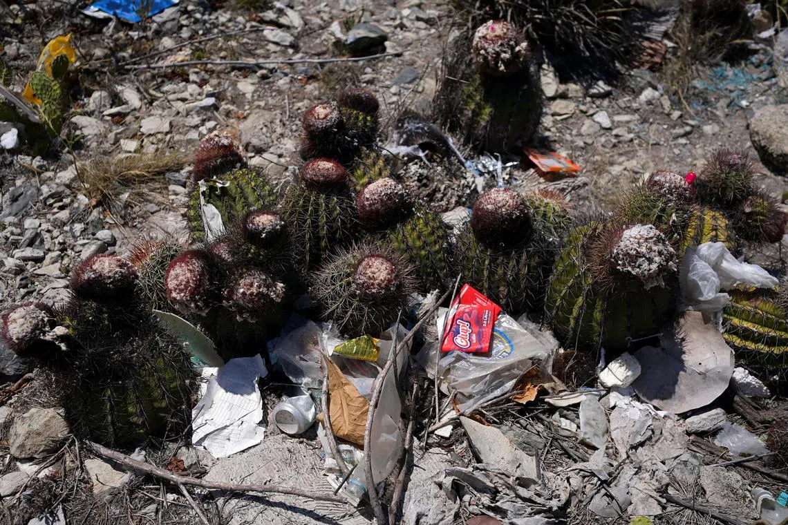 Trying to attract tourists, Venezuela builds infrastructure in fragile ...