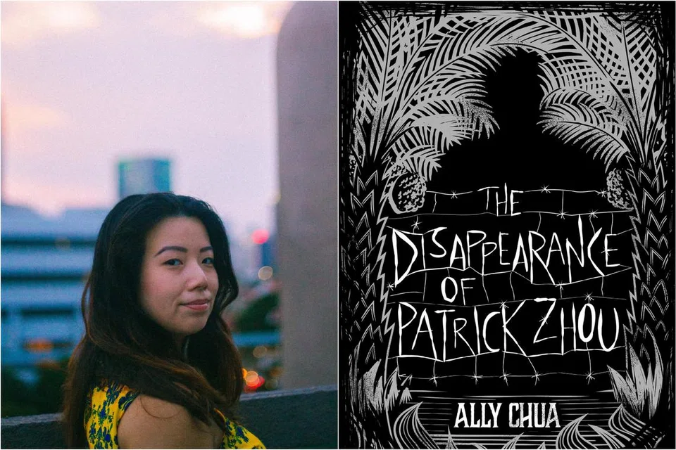 Book review: A gritty family mystery in The Disappearance Of Patrick ...