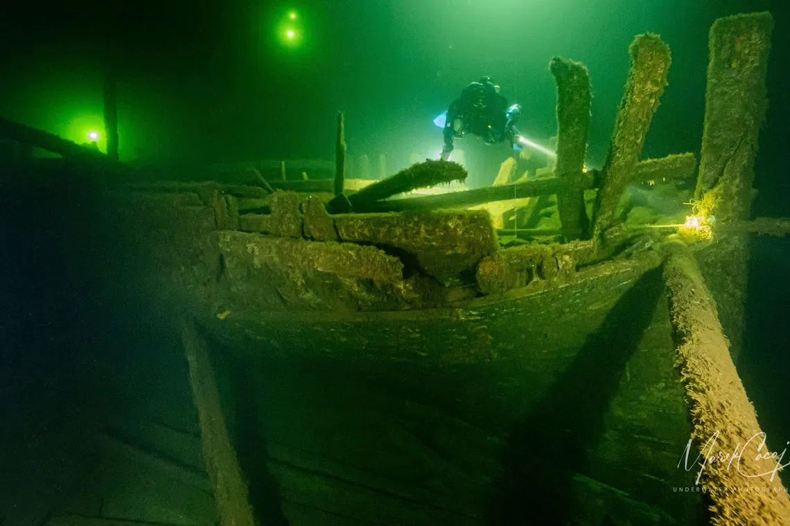 Champagne galore! Shipwreck gives Polish divers something to celebrate ...