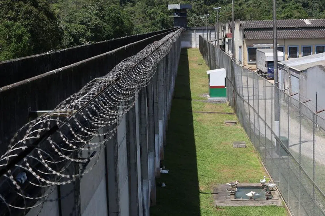 The Surprising and Effective Use of Geese as Prison Guards – New and Tips