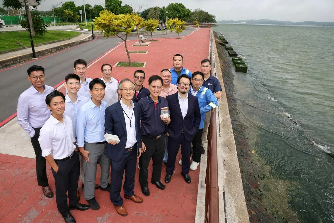 Living Lab: $14 million awarded for testing coastal defence projects in ...