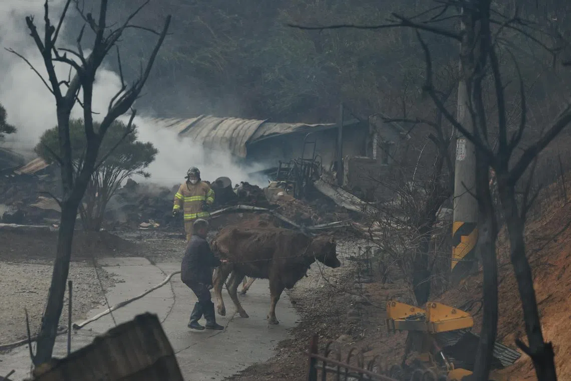 Wildfire in South Korea forces 500 residents to evacuate as rain helps ...