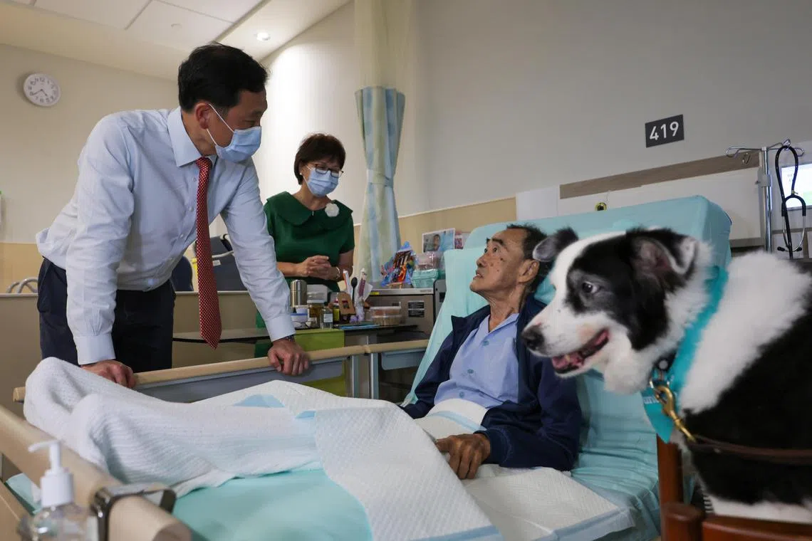 Home palliative care capacity to rise 50% by end-2025: Ong Ye Kung ...