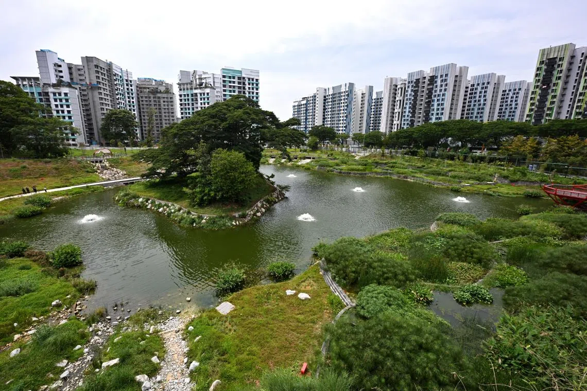 New Hundred Acre Wood-inspired park in Bidadari has a freshwater lake that can prevent flash ...