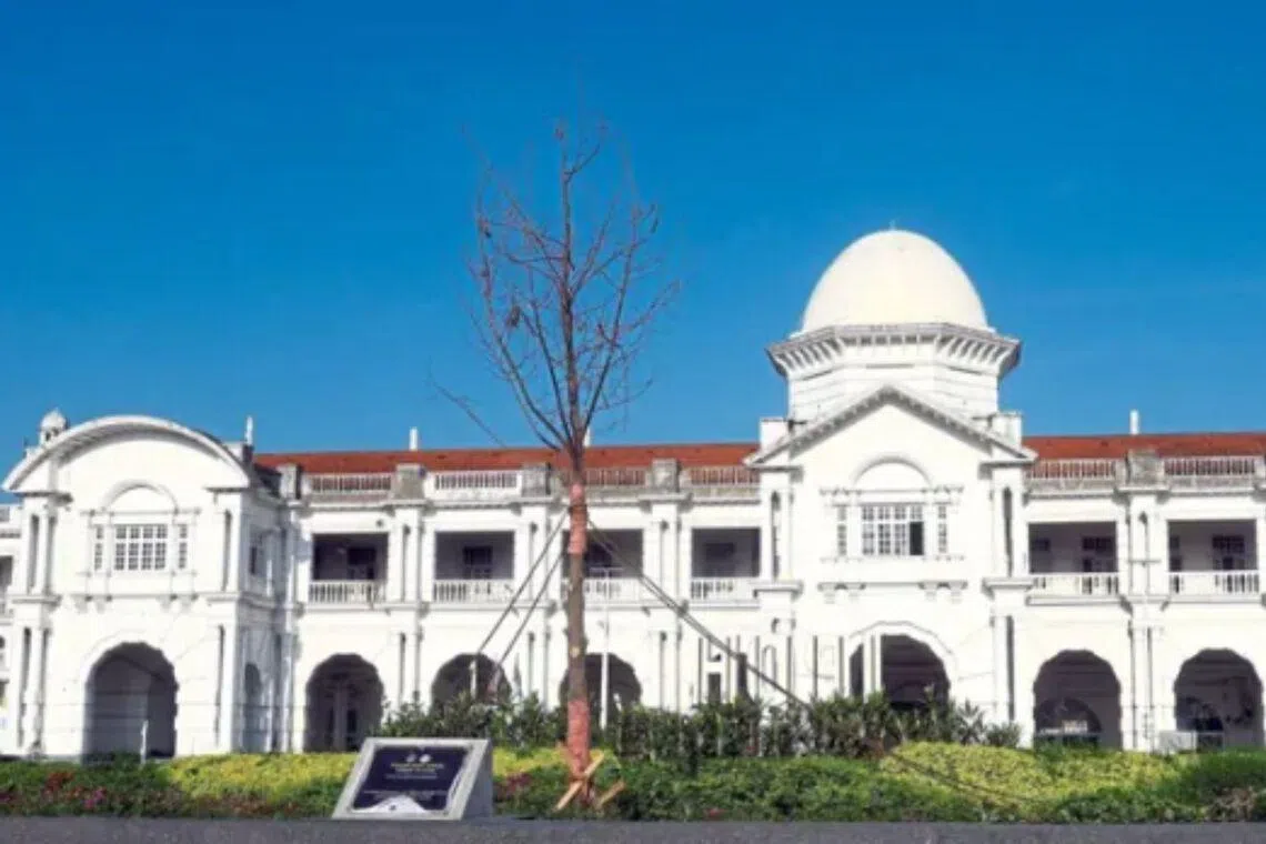 Iconic tree from which Ipoh derived its name is now a bare trunk | The ...