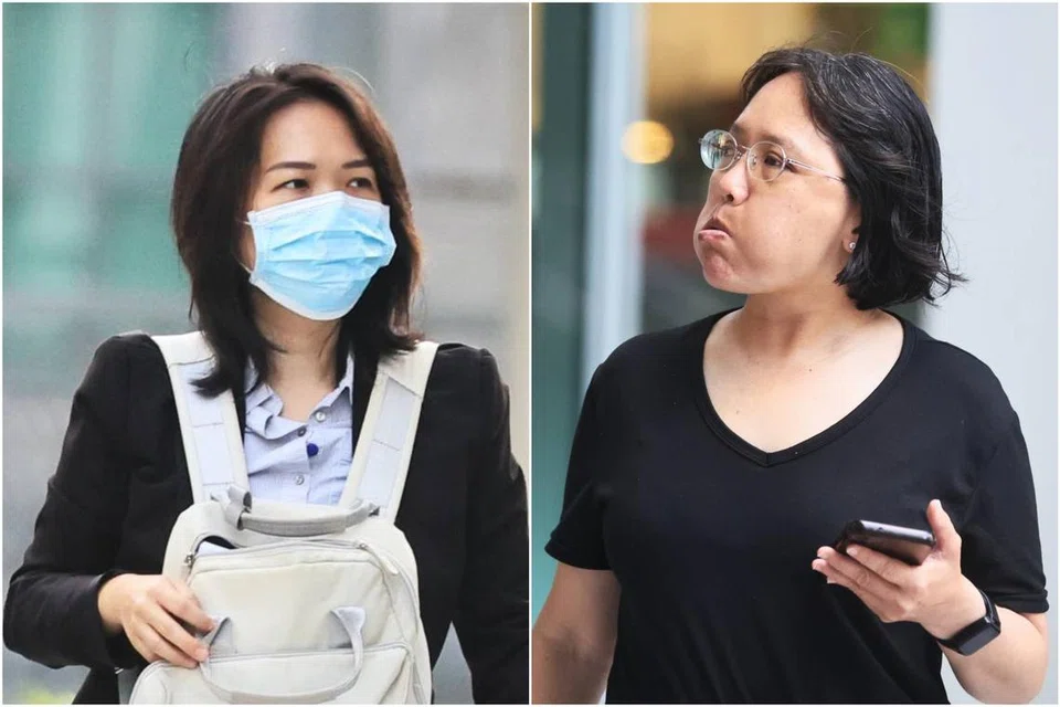 2 women charged over cheating offences involving $100k in govt support, subsidies for IT firm ...