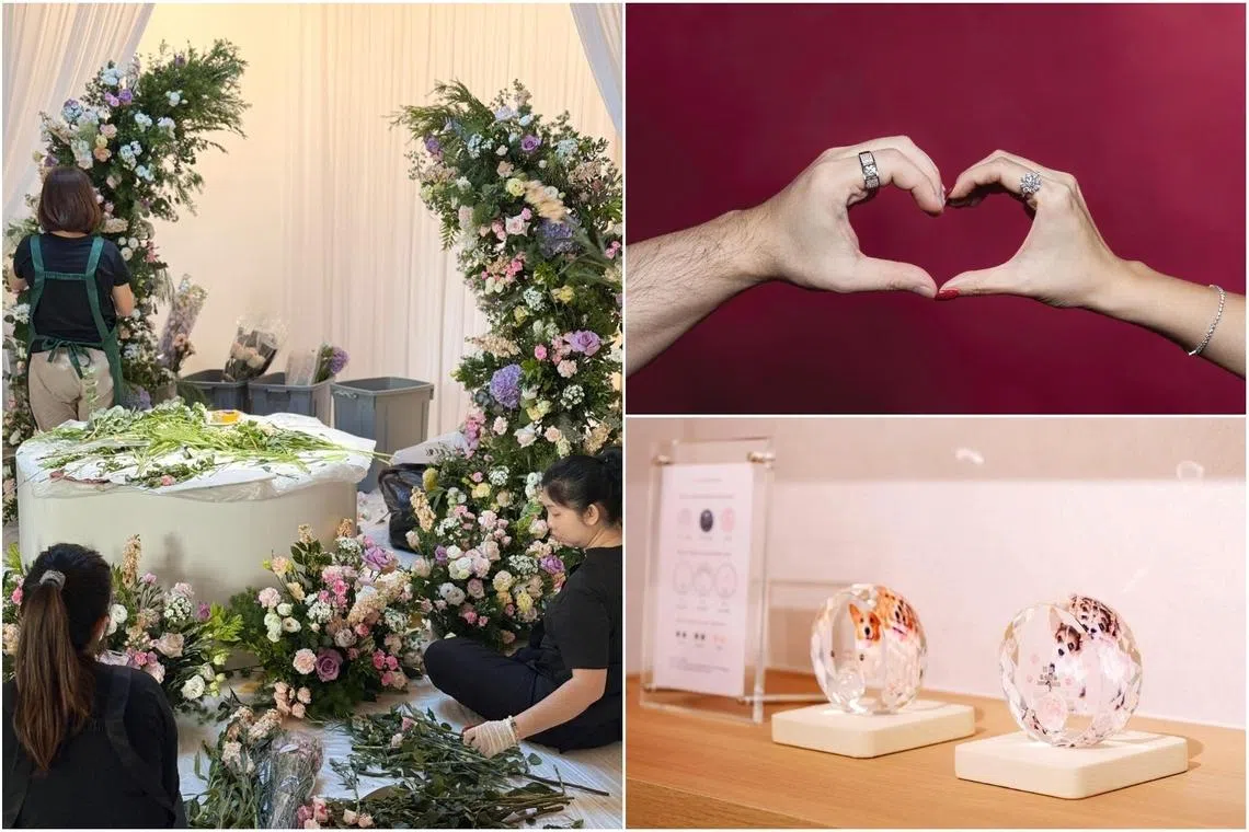 Pet loss in Singapore: Funerals & keepsakes | The Straits Times