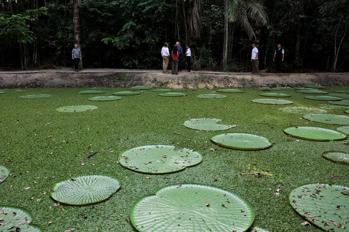 Biden visits Amazon rainforest en route to G20 summit in Rio | The ...