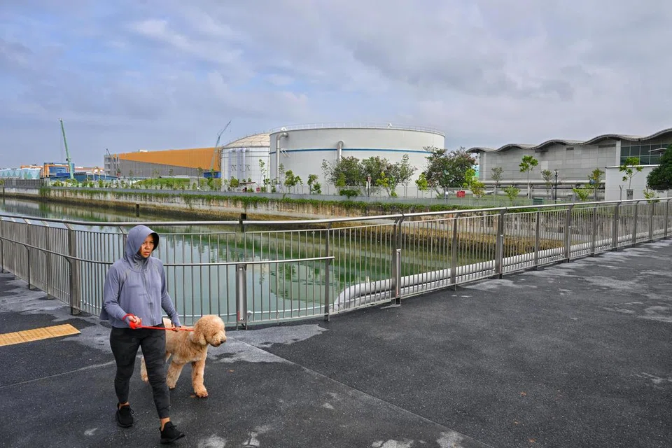 Cycling route between Pasir Ris Park and East Coast Park opens, 18km ...