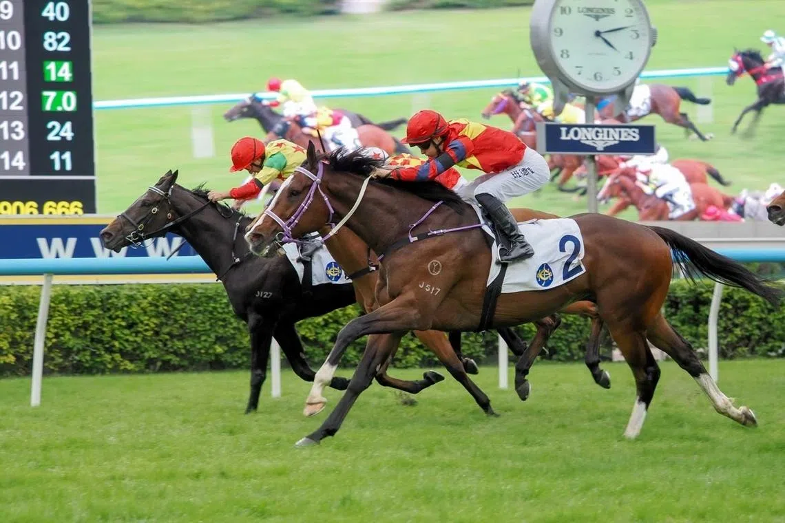 Hong Lok Golf can win first Group 3 | The Straits Times