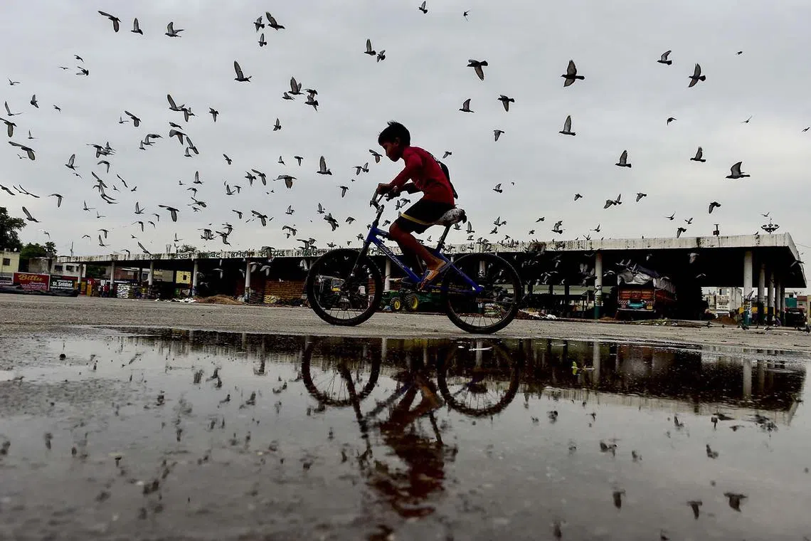 Today in Pictures, Aug 1, 2025 | The Straits Times