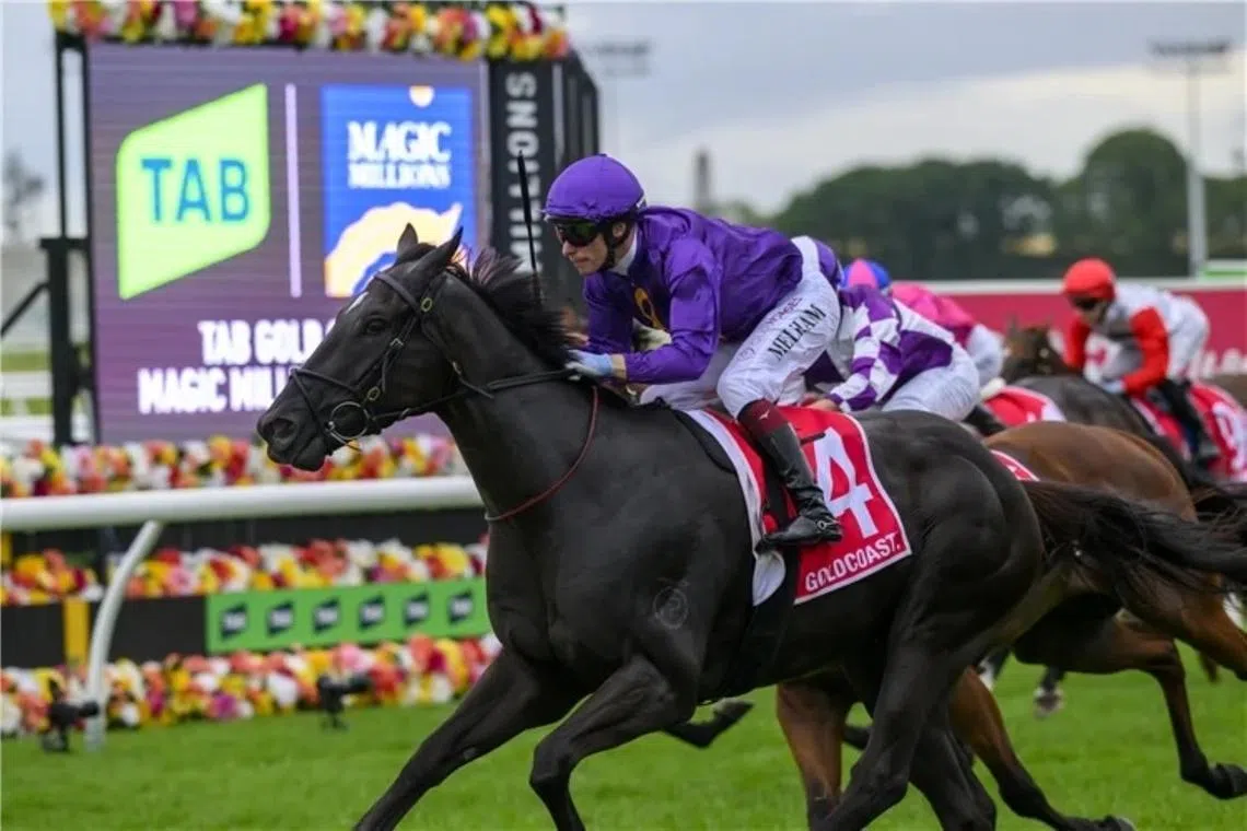 Torque To Be Sure survives protest to win Magic Millions 3YO Guineas ...