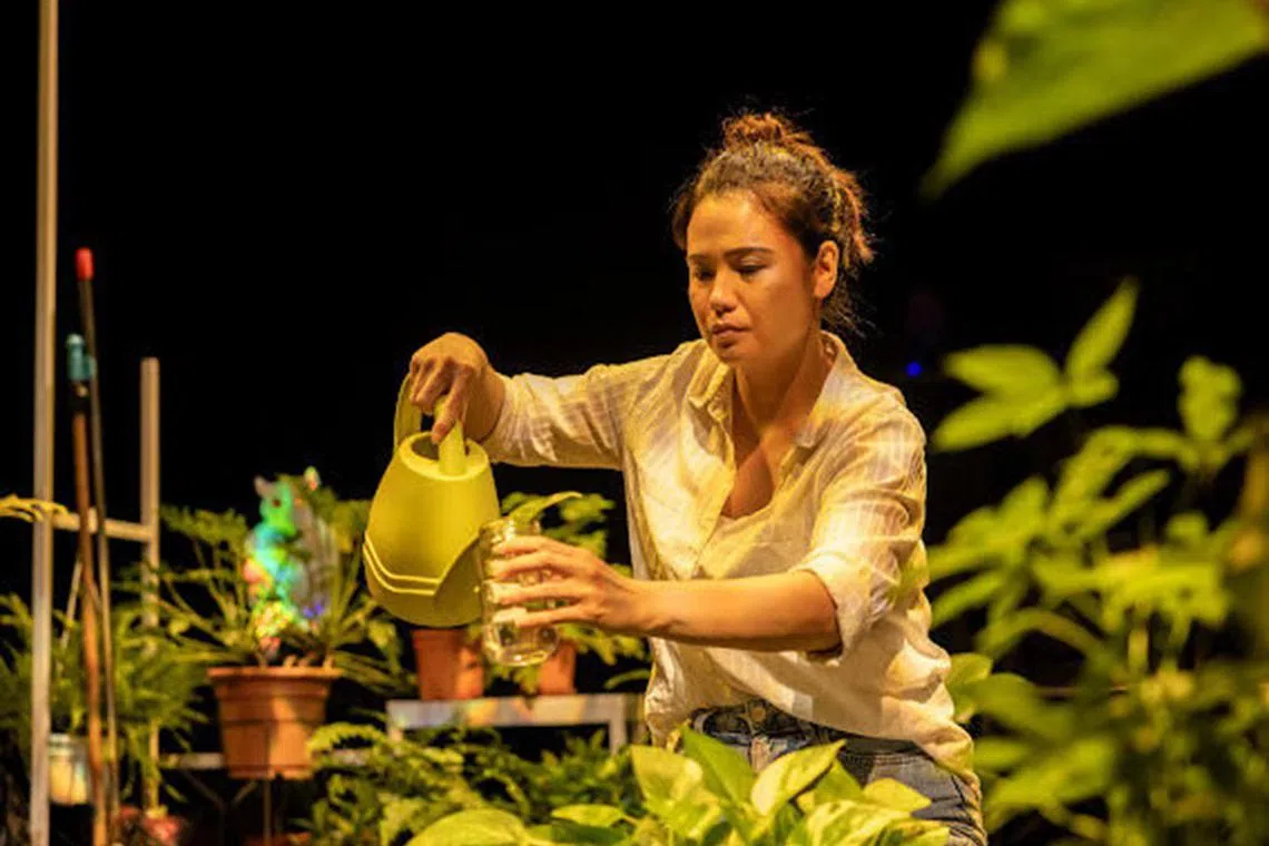 Theatre review: The Last Gardener a disappointing character study of a ...